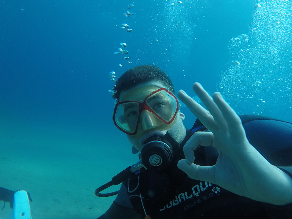 Dolphin's Diving Center | Diving activities on the Costa Brava