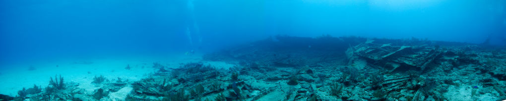 Vídeos - Dolphins Diving Center